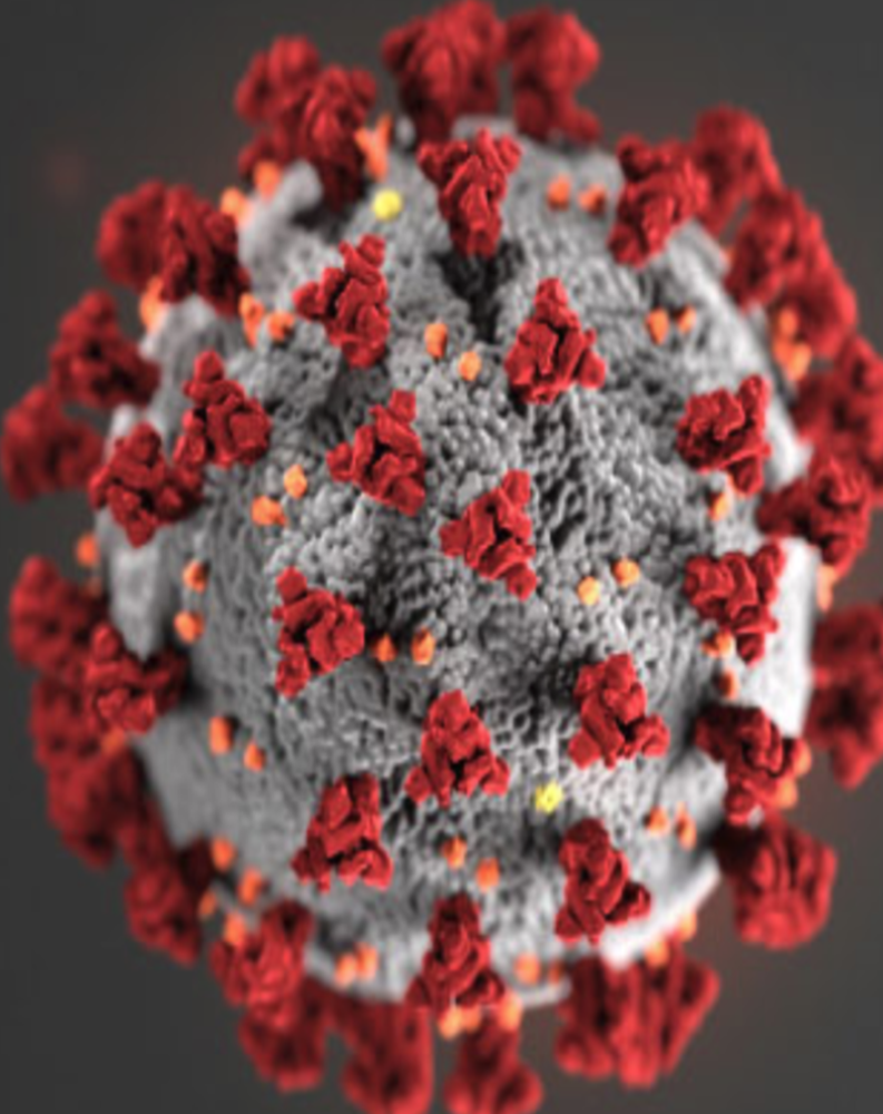 APC Cluster - Reproductive Health Access Network